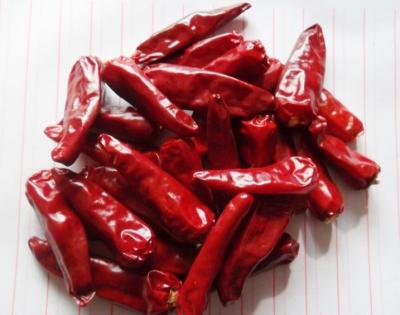 China 100g Cayenne Pepper Chili Powder Fine Powdered Red  Dry And Cool Place for sale