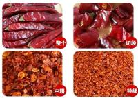 China ASTA 120 Chilli Pepper Powder High In Vitamin C Storage Method Dry And Cool Place for sale