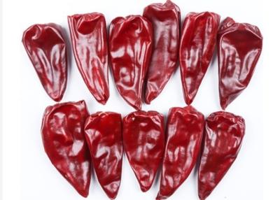 China 100g Natural Round Tianjin Red Chilies for sale