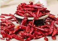 China Tianjin Round Red Chilies (100g) for sale