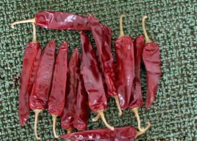 China One-Year Shelf Life Dried Chilli Total Ash≤3.0% and for High Competitio for sale