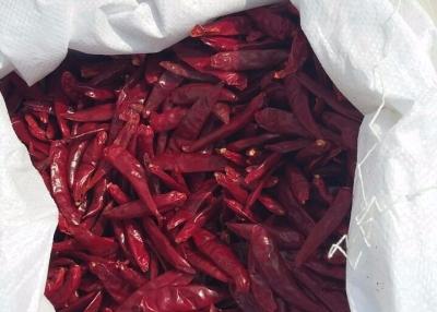 China Spicy Small Red Tianjin Chilies High In Vitamin C Nutritious And Delicious for sale