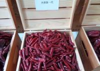 China SHU 15000 Tianjin Red Chilies 0.3% Impurity XingLong Dry Red Chilli for sale