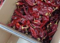 China Red Jinta Chilli 0.3% Max Impurity Strong Pungent Flavor 25KG Packaging for sale