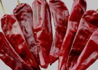China Seasoning Dried Guajillo Chili 180 ASTA Red Hot Chili Peppers for sale