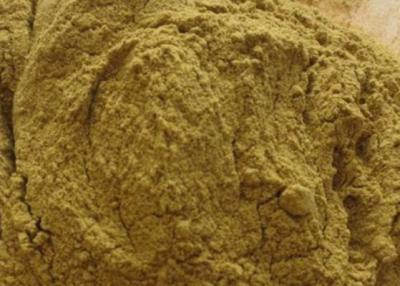 China Pungent Jalapeno Pepper Powder 80M Green Chilli Powder HALAL Certificate for sale