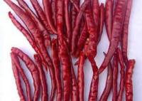 China Strong Chinese Dried Chili Peppers Aroma Strong Flavor Spicy for sale