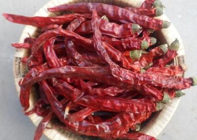 China Seasoning Dried Red Chilli Peppers For All The Spice Importer 4-7 Cm for sale