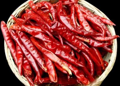 China Low Moisture Dried Red Cayenne Chili Pepper 12% Max 1% High Purity for sale