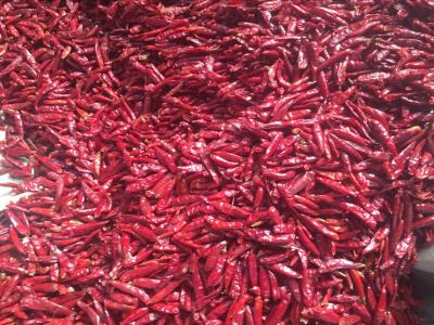 China BRC Certificate Dried Red Chilli Peppers 10000-90000shu Pungent Flavor for sale
