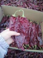 China HACCP Dried Guajillo Chili A Grade Medium Spicy For Marinades for sale