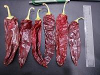 China Whole Paprika Red Pepper Grade A With 1 for sale