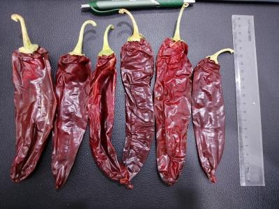 China Whole Paprika Red Pepper Grade A With 1 for sale