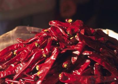 China Red Spicy Yidu Chili Authentic Taste Rich Flavour 15cm for sale