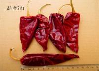 China Flavorful Yidu Chili 8-12CM Strong Pungent Chilli Flavor Sweet Paprika for sale