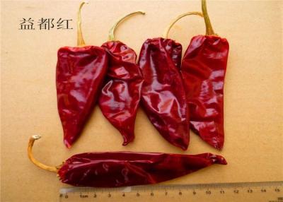 China Flavorful Yidu Chili 8-12CM Strong Pungent Chilli Flavor Sweet Paprika for sale