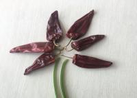 China 800shu Yidu Chili With Strong Pungent Chilli Flavor And Iron Nutrition for sale