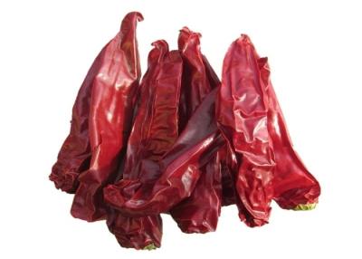 China Yidu Chili with Pungent Chilli Flavor for sale