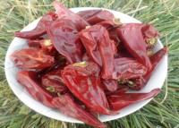 China HACCP 200g Yidu Chili Ingredients 7 - 15cm Pungent Chilli Flavor for sale