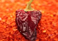 China 500SHU Hot Red Jinta Chilli Stemmed For Soups Sauces for sale