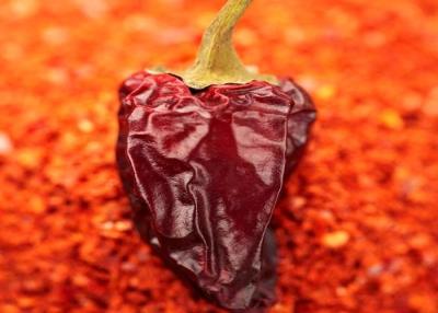 China 500SHU Hot Red Jinta Chilli Stemmed For Soups Sauces for sale