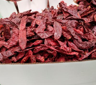China Smooth Dried Guajillo Chili 500SHU Leathery 0.3% Max With/Without Stem for sale