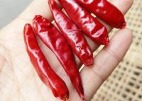 China Stemless Cut Hot Chilli For Hot Pot/Sichuan Cuisine Moisture 14% Max for sale