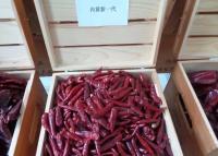 China Stemless Chinese Chaotian Szechuan Dried Red Chilli Peppers High SHU for sale