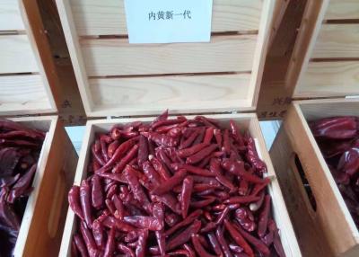 China Stemless Chinese Chaotian Szechuan Dried Red Chilli Peppers High SHU for sale