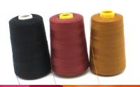 China 100% Polyester Sewing Thread Optional Color Hand Spinning Machine for Tents and Clothes Bag for sale