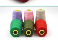 China 100% Polyester Sewing Thread Optional Color Hand Spinning Machine for Tents and Clothes Bag for sale