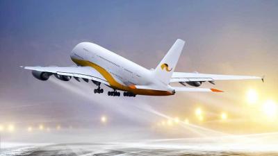 China Urgent Cargo Air Freight Forwarder From China To Indonesia for sale