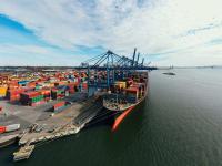 China General Cargo Shipping Services From Ningbo To Jakarta for sale