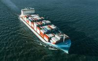 China International Ocean Freight Forwarder From China to Bangkok for sale