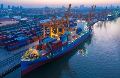 China FCL LCL International Ocean Freight Shipping Bulk Cargo Preferred for sale