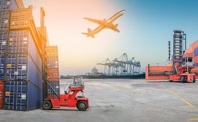 China Shekou Port China Customs Clearance Service NVOCC China Shipping Broker for sale