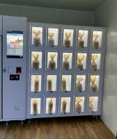 China Airports Locker Vending Machine Customizable Capacity And Flexible Payment Options for sale