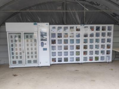 China Enhanced Customer Convenience Locker Vending Machine For 24/7 Accessibility And Contactless Shopping Experience for sale