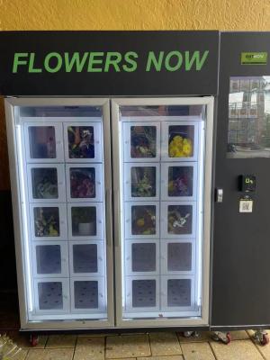 China Convenient And High-Tech Locker Vending Machine For Shopping Mall Customizable 40 Lockers for sale