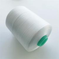 China Custom High Tenacity Polyester Thread 6000D Raw White for Sewing Machine for sale