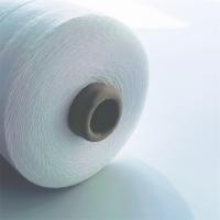 China High Tenacity Polyester Sewing Yarn 300D 3 100 Polyester Thread Raw White for sale