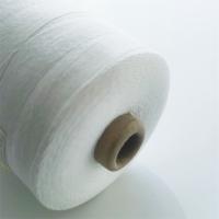 China High Tenacity Polyester Thread 630D 3 Raw White 100 Polyester Sewing Thread Custom for sale