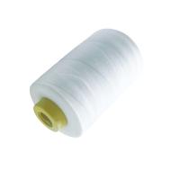 China 1*2 Sewing Thread 102 Twist Strong Thread For Sewing Canvas for sale