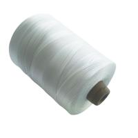 China High Tenacity Polypropylene Yarn 250D/3 840 Dtex PP Multifilament Yarn for sale