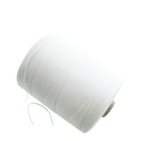 China High Tenacity Polypropylene Fire Retardant Sewing Thread 165°C Outdoor Gear for sale