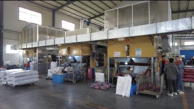 China Fully Auto Gloves Dipping Machine Customizable Glove Coating Machine for sale
