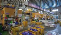 China PLC Glove Production Machine PU PVC Coated Nitrile Glove Machine for sale