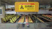 China Customized Gloves Dipping Machine 220V 380V Glove Making Equipment for sale