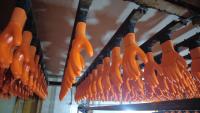 China 35m PVC Gloves Dipping Machine With Automatic Logo Printing And Stripping System for sale