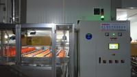 China Industrial Glove Coating Line Multiple Tanks Latex Glove Manufacturing Machine for sale